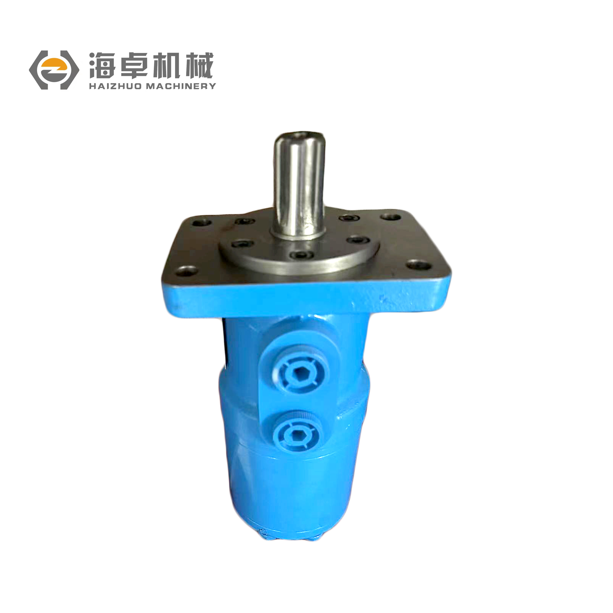 Bm1-100 Series Hydraulic Cycloid Motor - Haizhuo-valves&pump